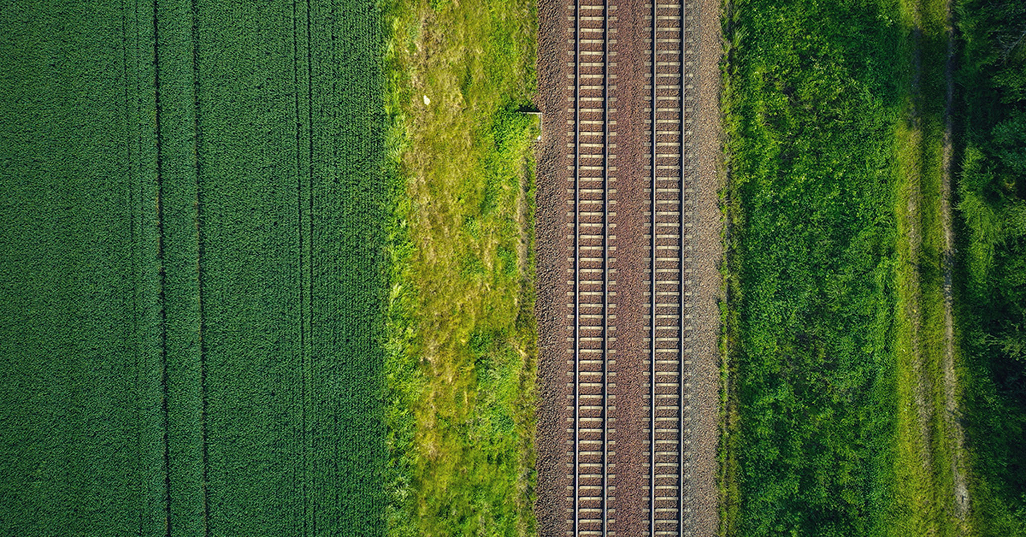 Autodesk BIM Collaborate Pro - Usesoft